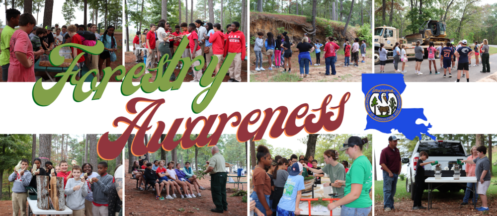 Forestry Awareness Week | Ebarb High School
